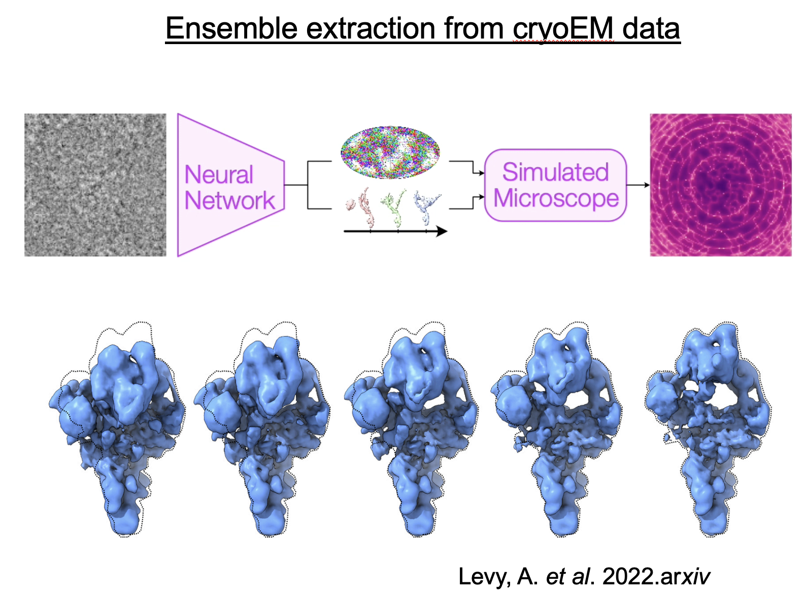 Bethel Lab | Research